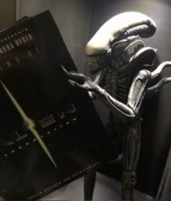 Quem somos / About us - Studio Z Design e Animação